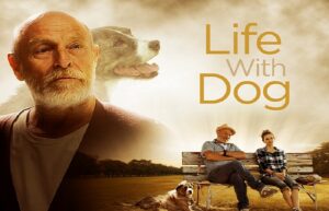 Best Dog Movies on Amazon Prime You Must Watch